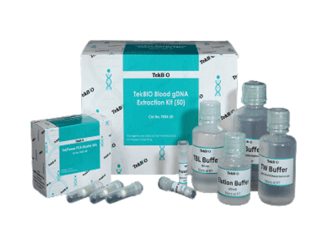 Fungal gDNA Extraction Kit Reactions: 50/100 - Benotech