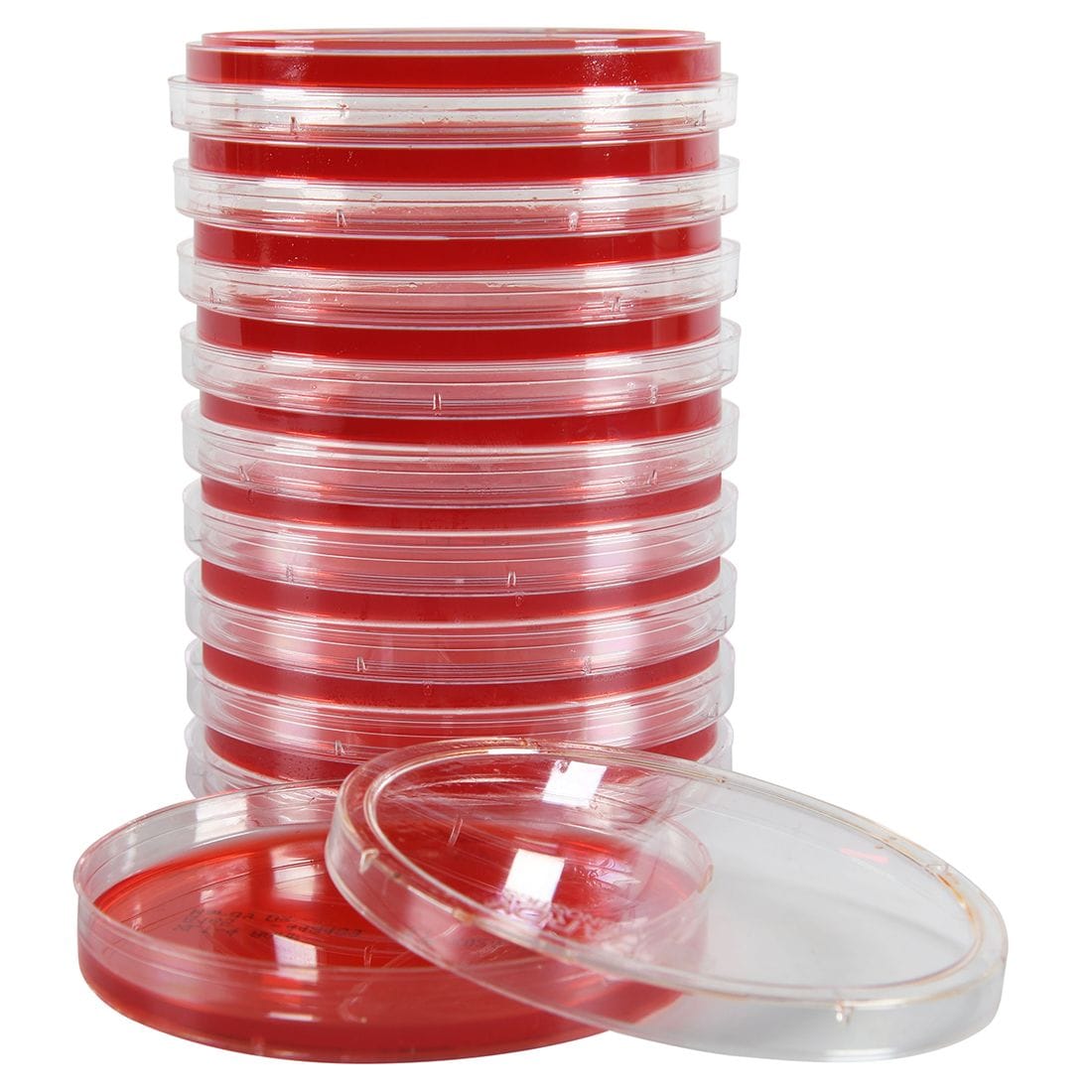 XLT4 (Xylose-Lysine-Tergitol 4) Agar - 10/pack - Benotech