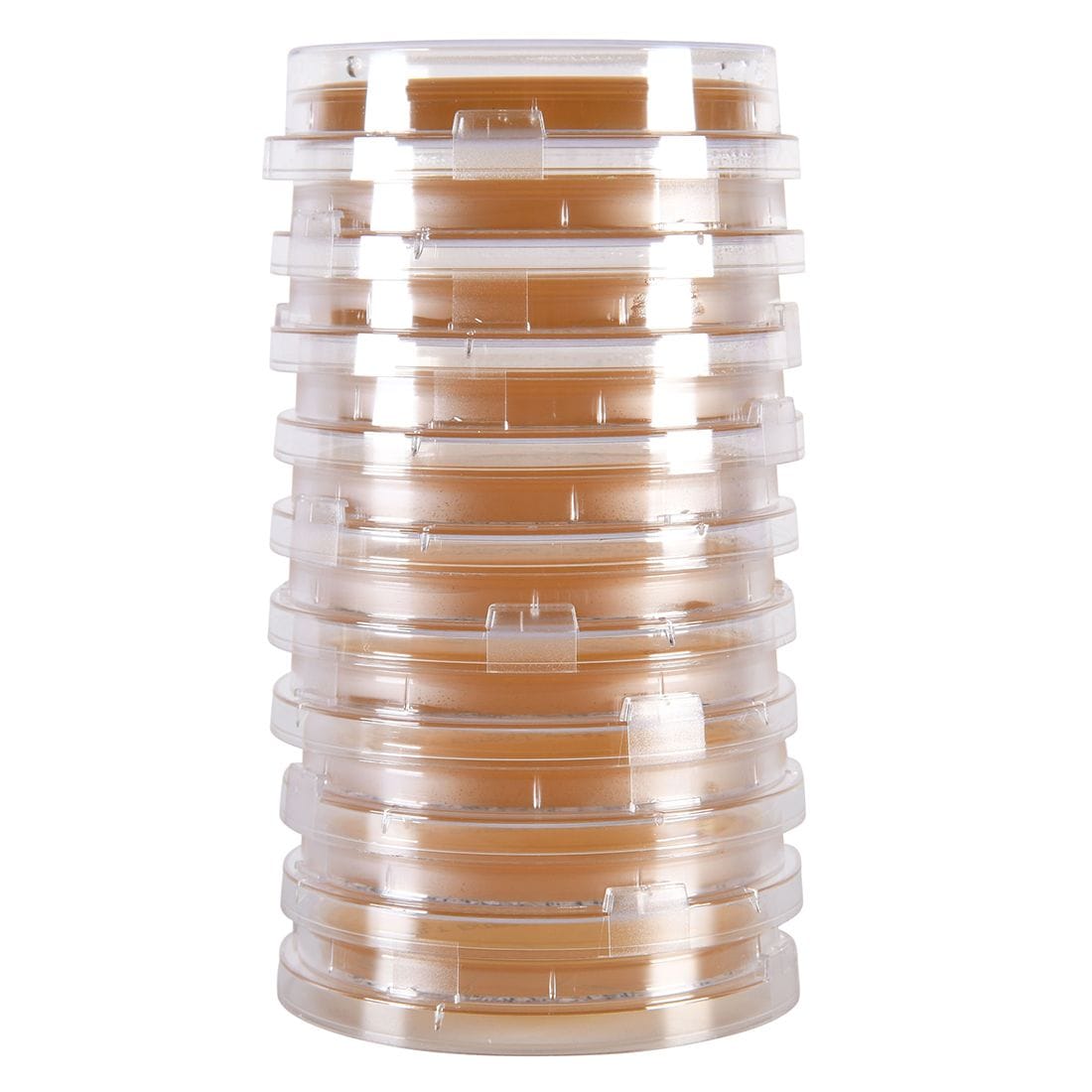 LokTight™ Malt Extract Agar (MEA) with Lecithin and Tween 80, 15x65mm, Contact Plate 10/pack ...